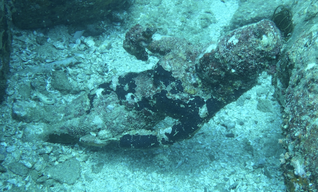 SWAMI ROCK,Trincomalee; Srilanka – ScubaNomadas