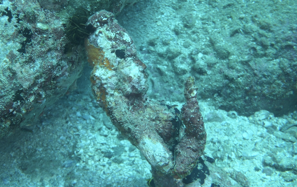SWAMI ROCK,Trincomalee; Srilanka – ScubaNomadas