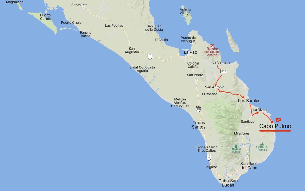 CABO PULMO – ScubaNomadas